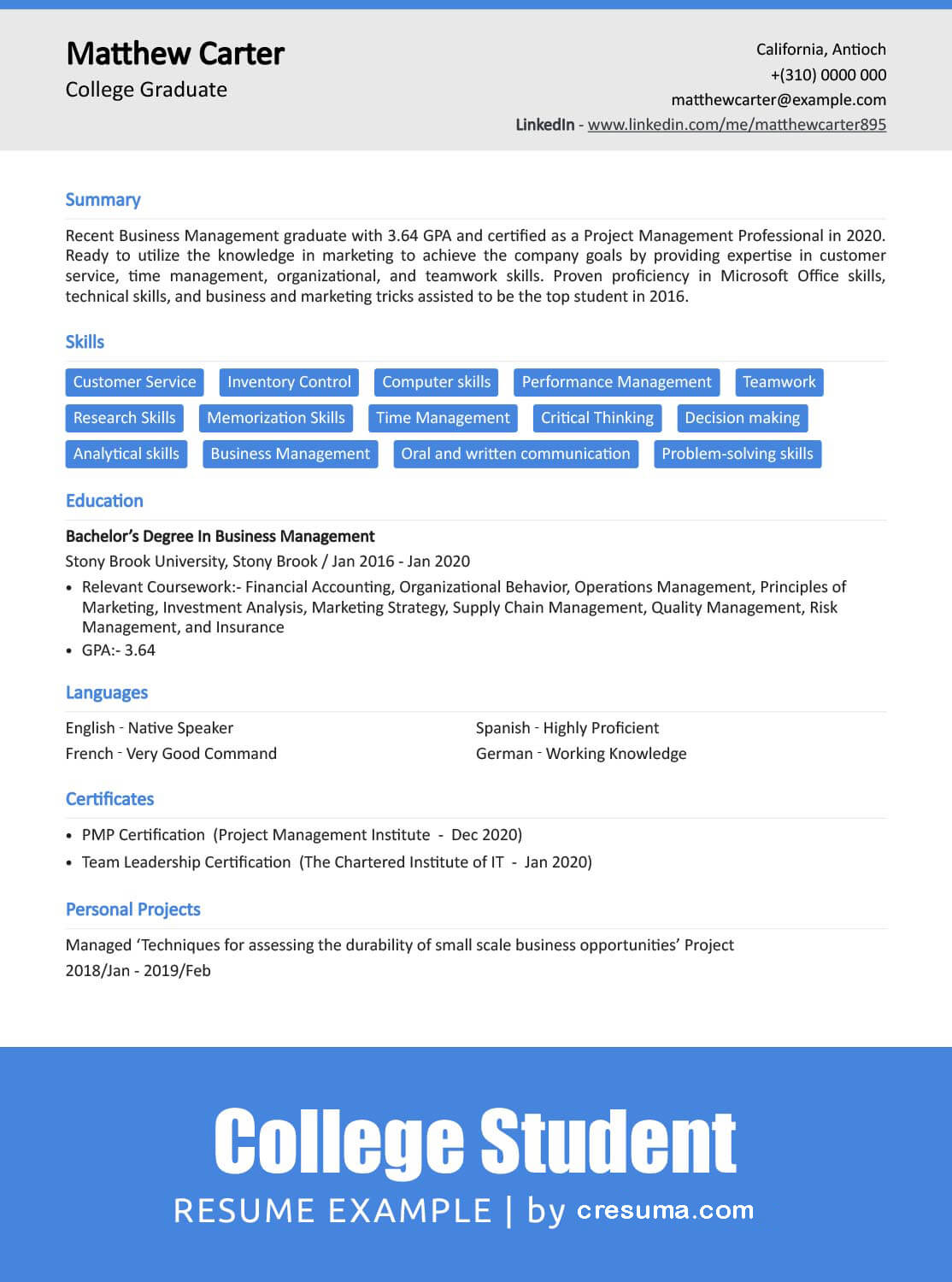 Resume Keep It Simple And Stupid Magpie