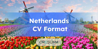 The Ultimate Guide to Netherlands CV | 2024 Jan Update
