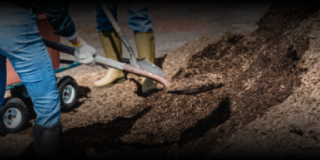 Mud Logger Resume Example 2024